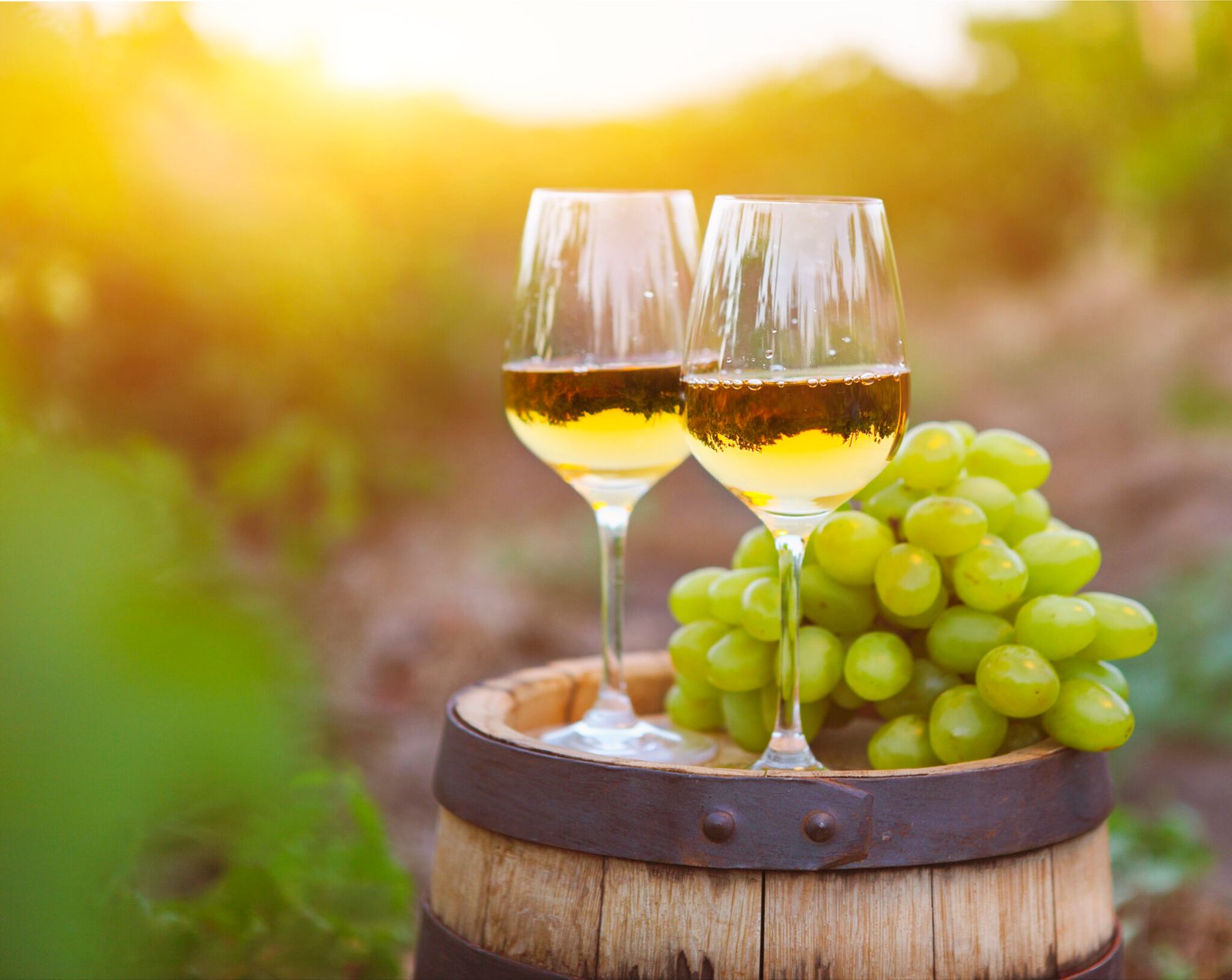Qu'est-ce que la vinification ? : Le guide complet de la production de ...